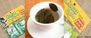Culture: Coca Leaves and the Andean Culture