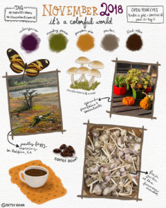 It’s a Colorful World – November Palette